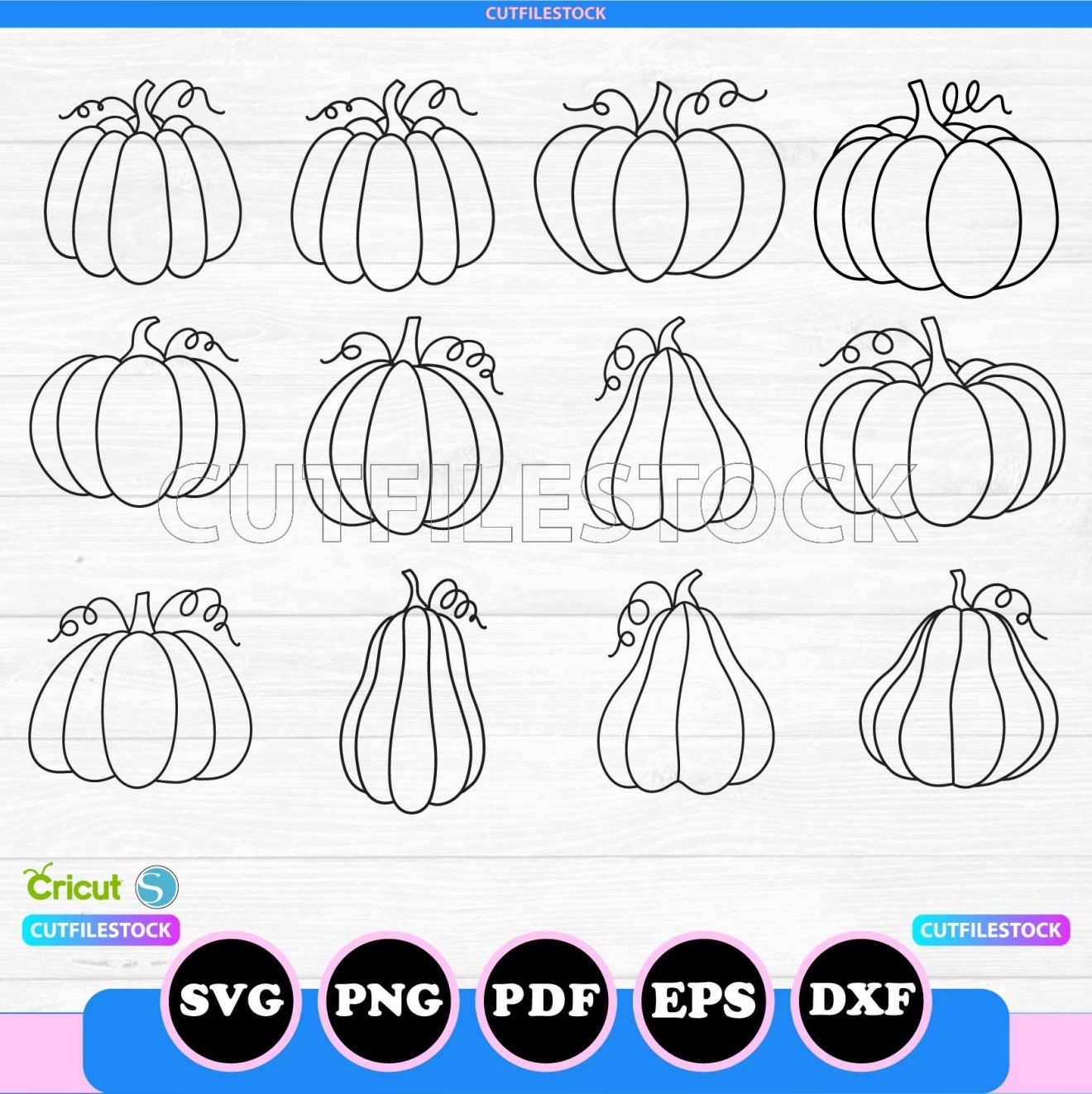 Pumpkin Outline SVG, PNG, Cricut, 12 Pumpkins Svg Bundle Files